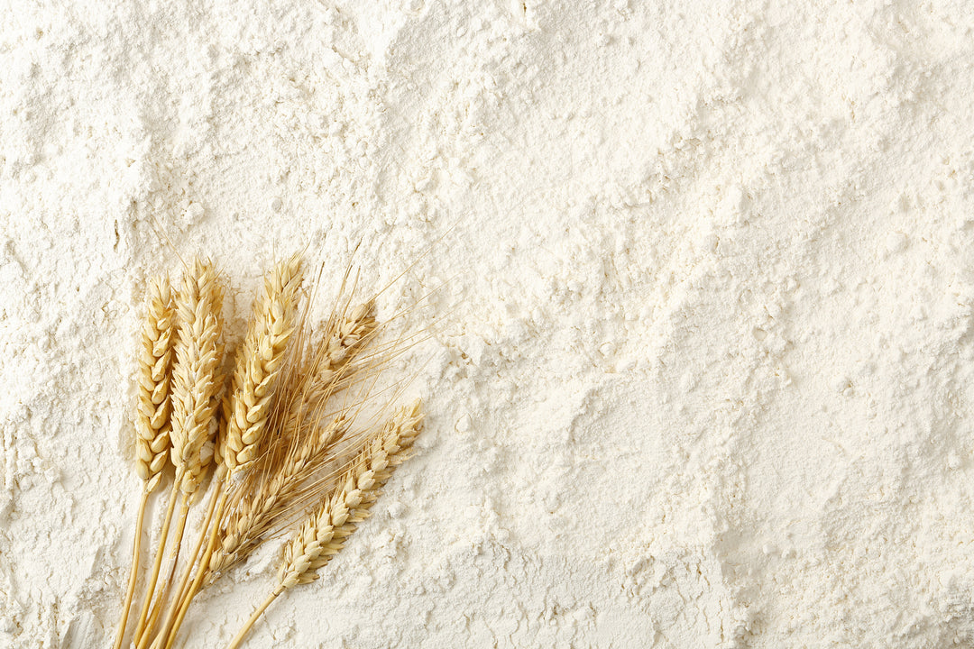 Wheat Flour – Field Theory
